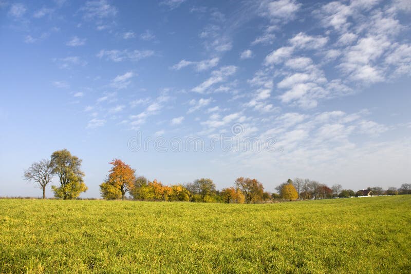 Sunny autumn landscape stock image. Image of foliage - 23900943