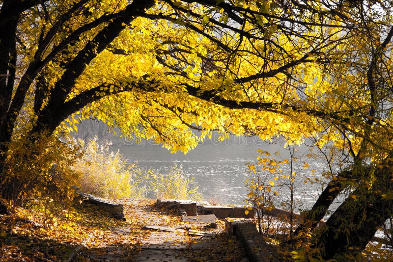 Sunny autumn morning stock image. Image of color, shadow - 17137389