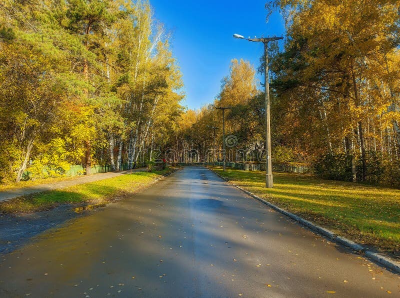 Sunny Autumn Morning stock image. Image of trees, morning - 233209065