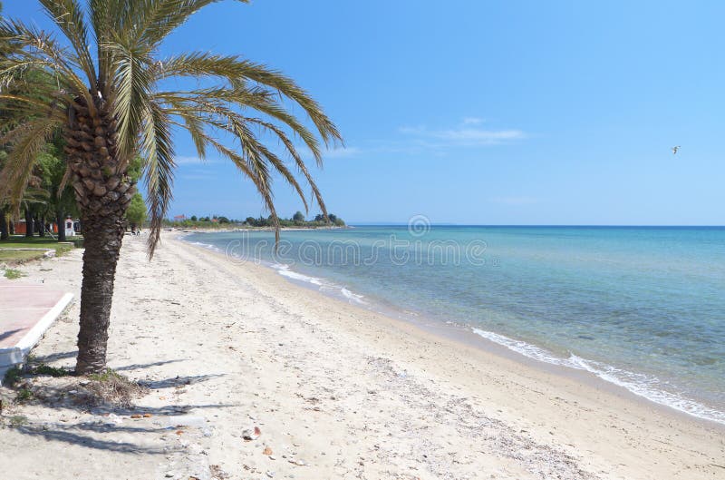 Sunny Beach at Chalkidiki in Greece Stock Photo - Image of relax ...