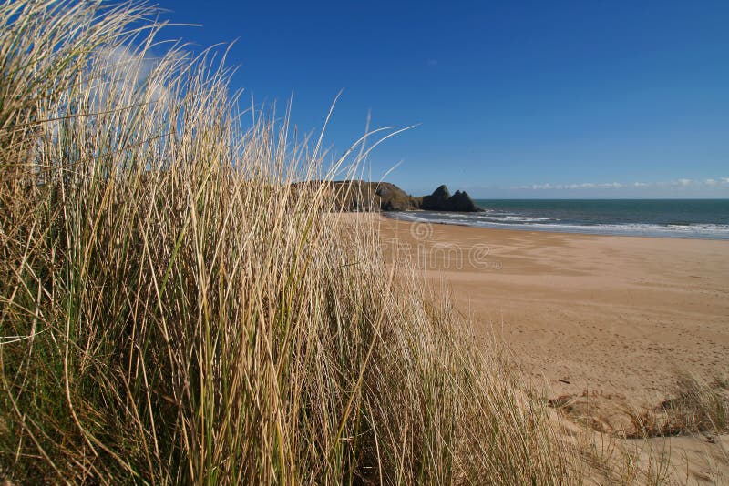 Sunny beach landscape stock photo. Image of landscape - 1933310