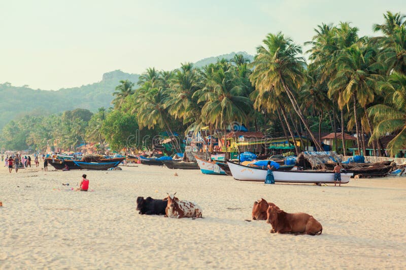 Sunny Beach with Tourists in the Goa State Editorial Photo - Image of ...
