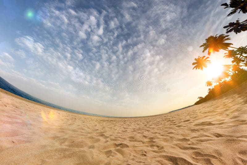 . Sunny beach wide angle stock photo. Image of nature - 124770600