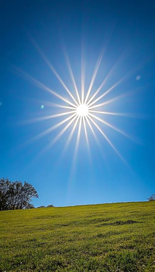 Sunny, Blue Sky with Bright Sun Rays Beaming, Green Grass Field ...