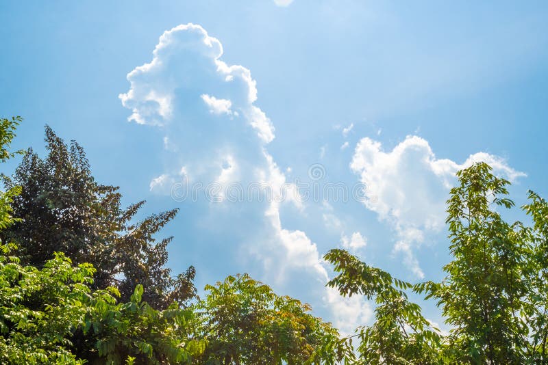 Sunny Blue Sky with Soft Clouds and Bright Sun Against Trees Foreground ...