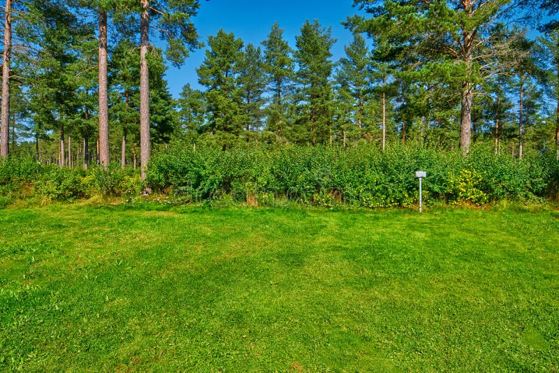 Sunny Campsite Pitch stock photo. Image of equipment - 70967914