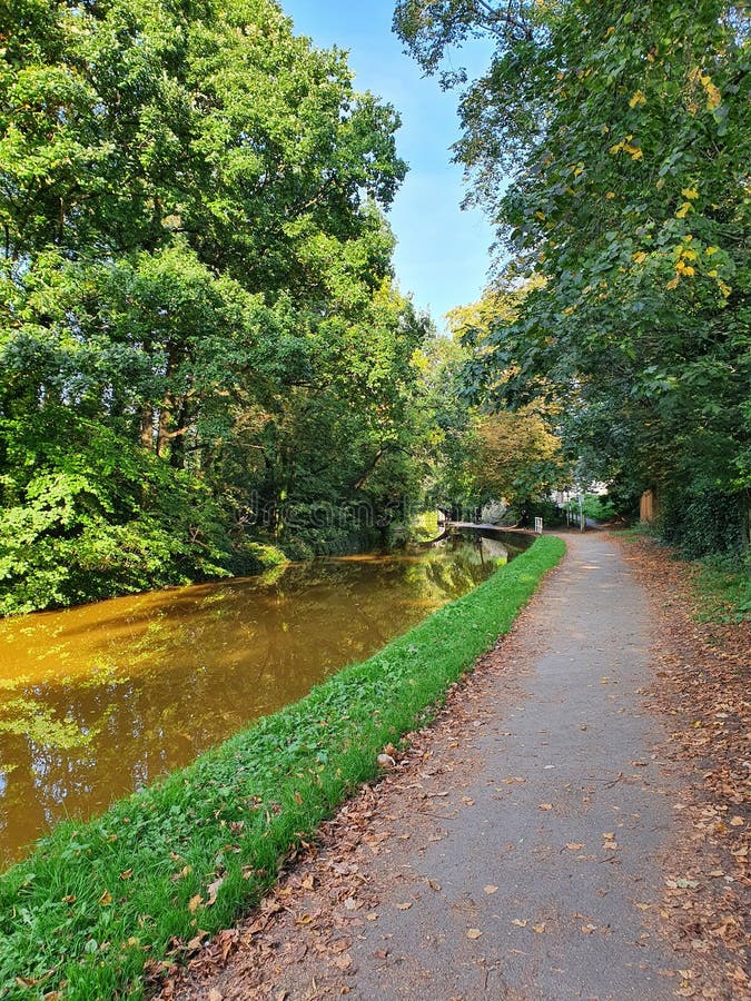 Sunny can walk stock image. Image of shrub, soil, tree - 198596279