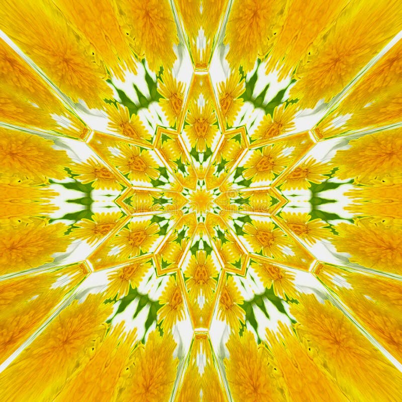 Carpet of Yellow-green Fallen Leaves in the Evening Light. Abstract ...