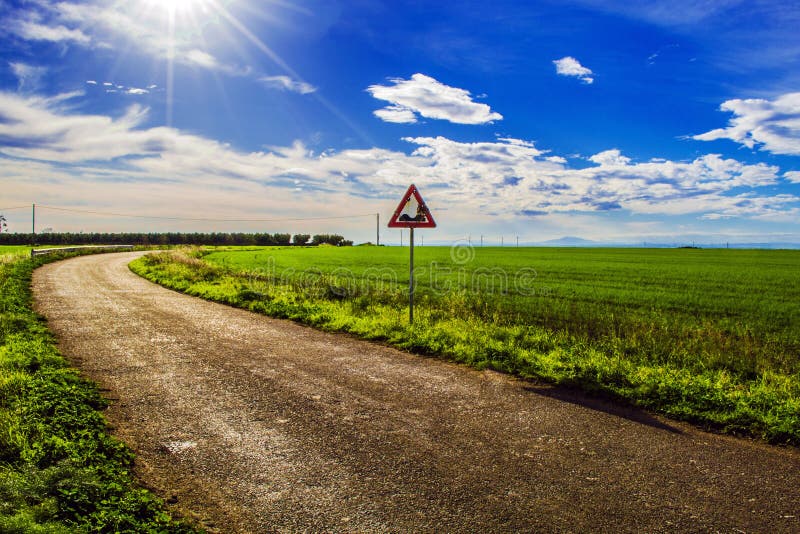 Sunny Day in the Country stock image. Image of grass, green - 9837259