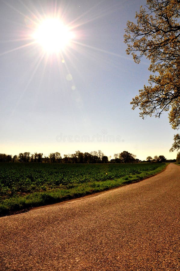 Sunny Country Road stock photo. Image of cruise, road - 38638514