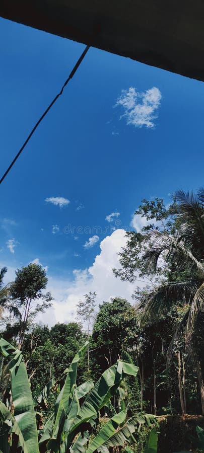 A sunny day for activities stock photo. Image of cloud - 261666118