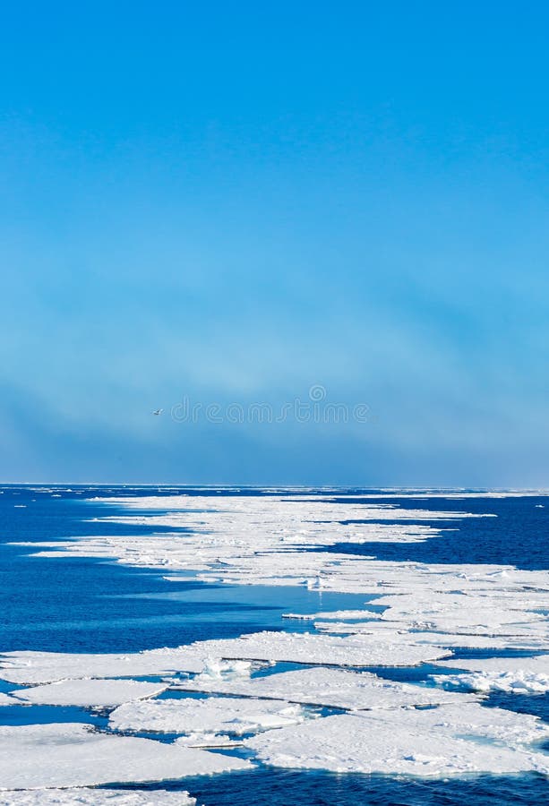 Sunny Day in the Arctic Circle with Ice Visible Stock Image - Image of ...