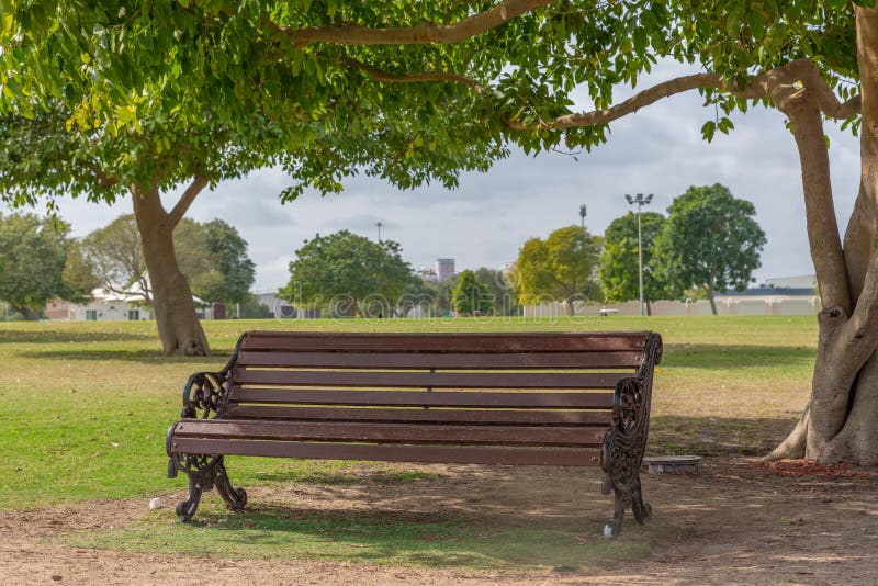 Sunny Day at the Aspire Park in Doha Stock Photo - Image of ...