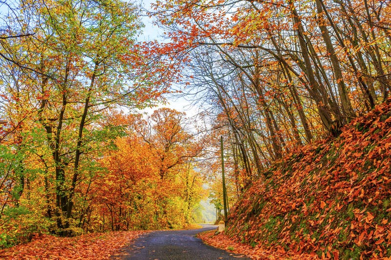 Sunny day in autumn stock photo. Image of colorful, hike - 32087796