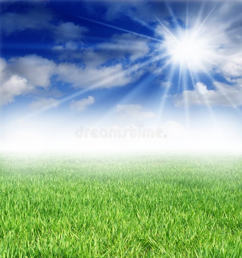 Fresh Grass and Blue Sunny Sky Stock Photo - Image of background, farm ...