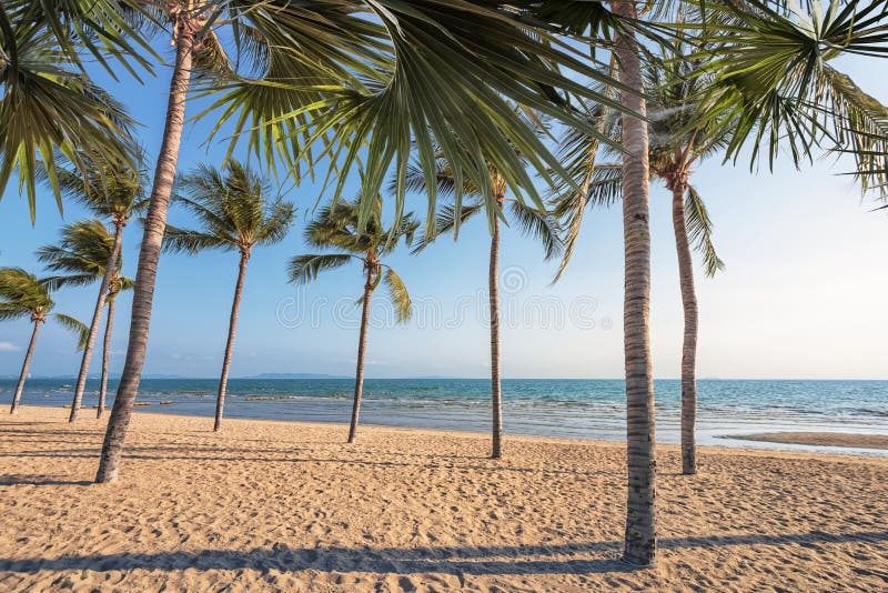 Sunny day on the beach stock photo. Image of ocean, beach - 220971596