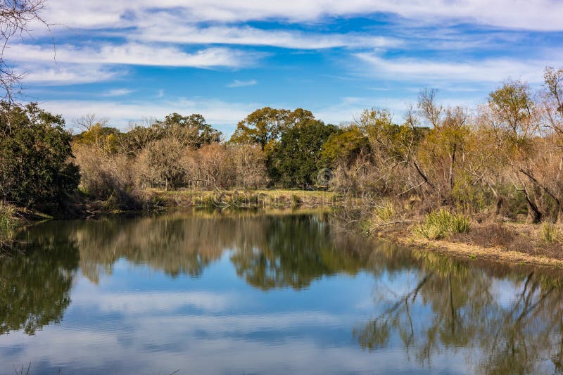 Sunny Day at the Brazos Bend State Park Stock Image - Image of ...