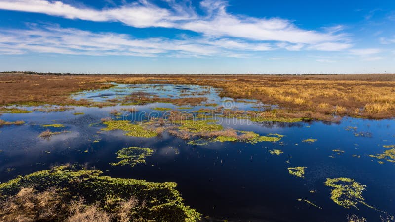 Sunny Day at the Brazos Bend State Park Stock Photo - Image of outdoor ...