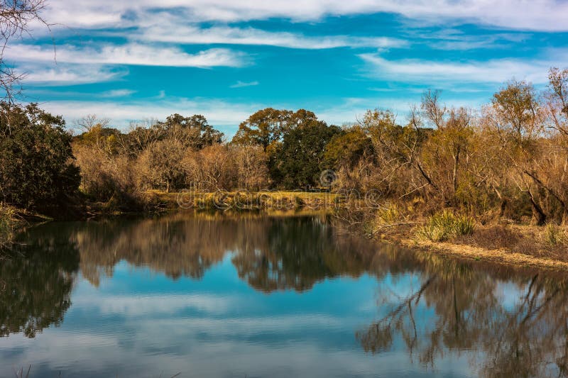 Sunny Day at the Brazos Bend State Park Stock Image - Image of river ...