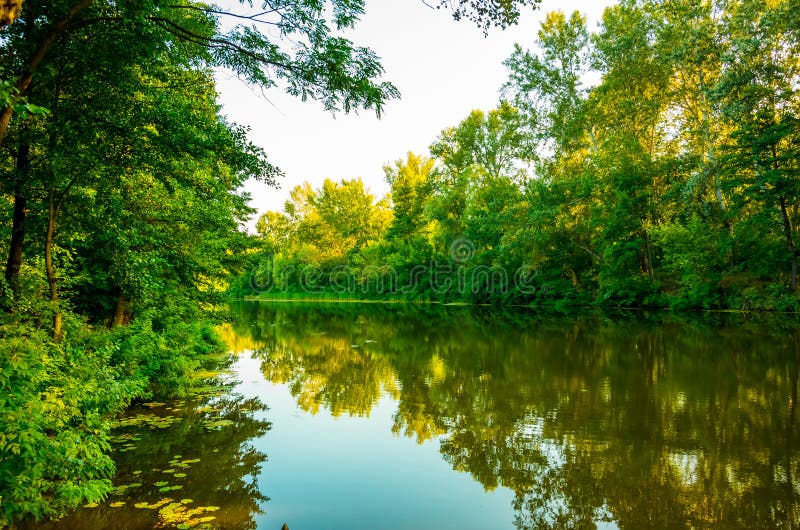 Sunny Day on a Calm River in Summer Stock Image - Image of meadow ...