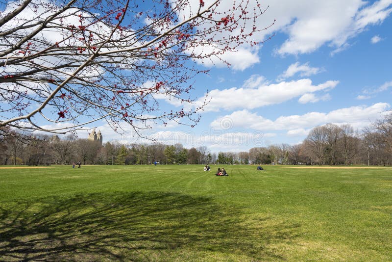 Sunny Day at the Central Park. Editorial Stock Image - Image of upper ...