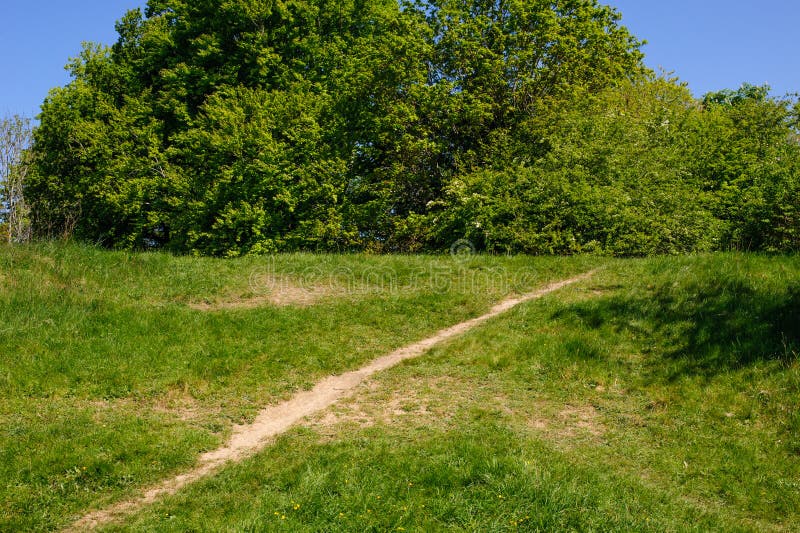 Sunny day in the country stock photo. Image of park, bushes - 92359904