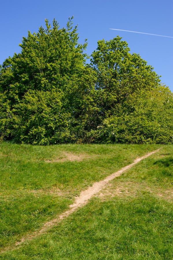 Sunny day in the country stock photo. Image of outdoors - 92360144