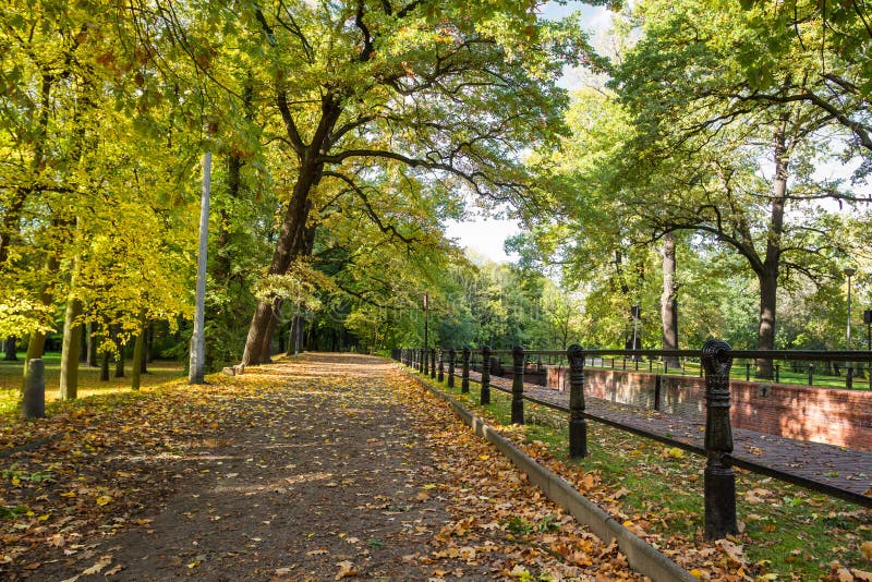 Sunny day in forest path stock photo. Image of green - 27129576