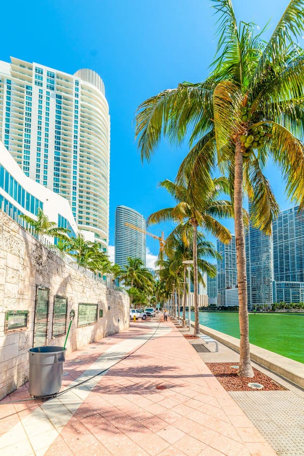 Sunny Day in Miami Riverwalk Stock Photo - Image of scene, built: 236392344