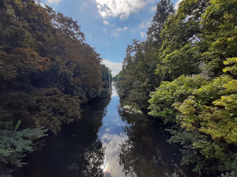 A calm river among trees stock photo. Image of landscape - 264862888