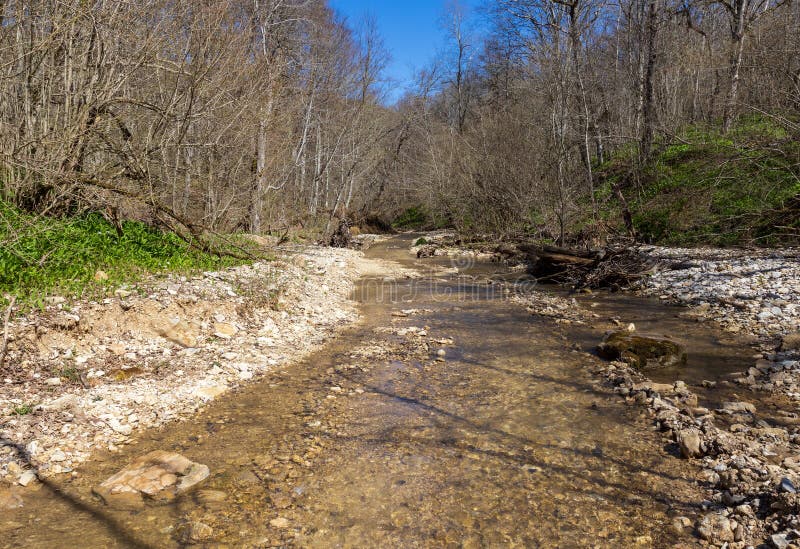 A Sunny Day, a Nature Park, a Walk Along the Canyon of the River with an Overview of the ...