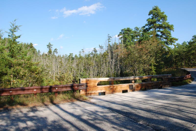Sunny day in the park stock photo. Image of autumn, sunny - 17566850