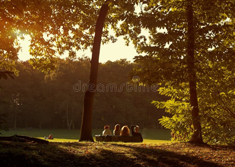 Sunny day in the park stock image. Image of trees, color - 879241