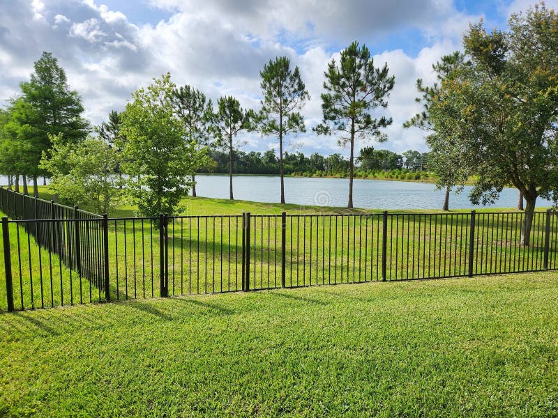 Sunny Day in a Park Features a Tranquil Pond with a Black Fence and ...