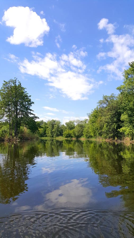 Sunny Day on the Quiet River Stock Photo - Image of sunny, scenery ...
