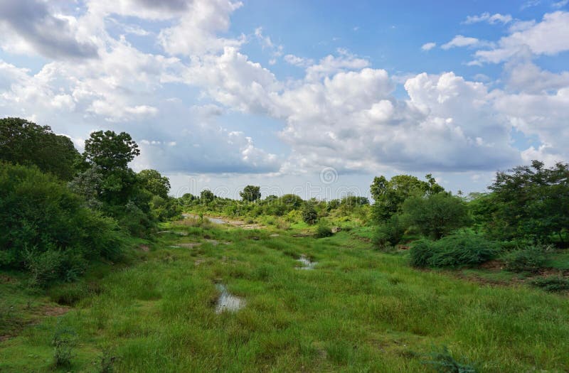 Sunny Day with Rainy Clouds Stock Photo - Image of sunny, rainy: 224722460