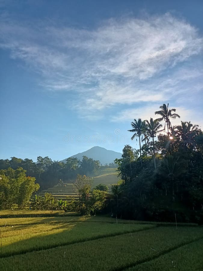 Sunny Day in the Rice Fields at the Foot of Mount Batukaru, Tabanan ...