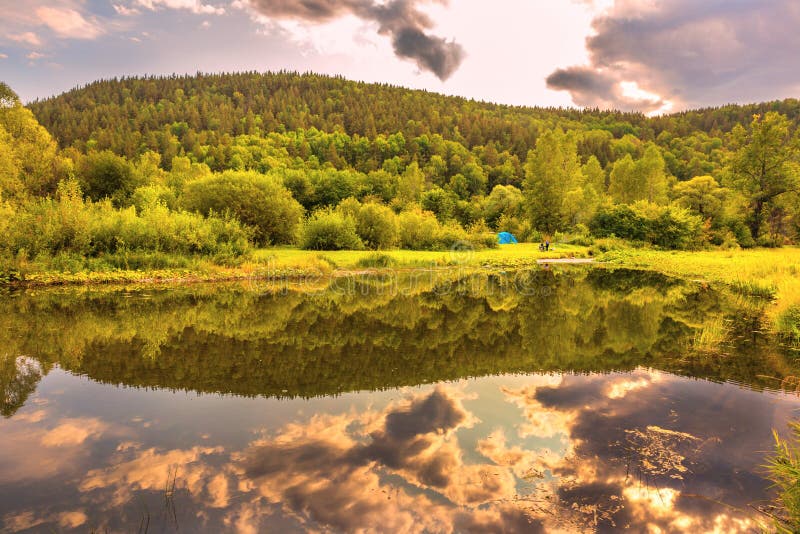 Sunny day on the river. stock image. Image of forest - 155429375