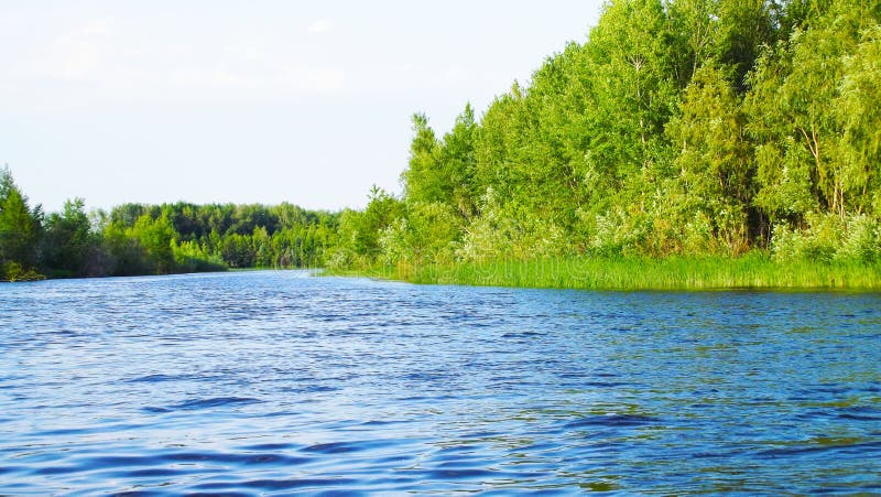 Sunny day on the river. stock photo. Image of season - 121053852