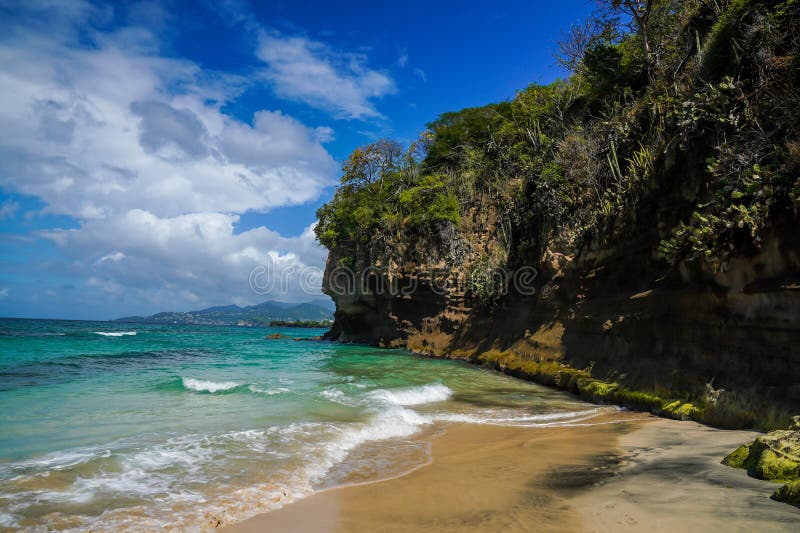Sunny Day at Sandy Beach in Grenada Stock Image - Image of pelicans ...