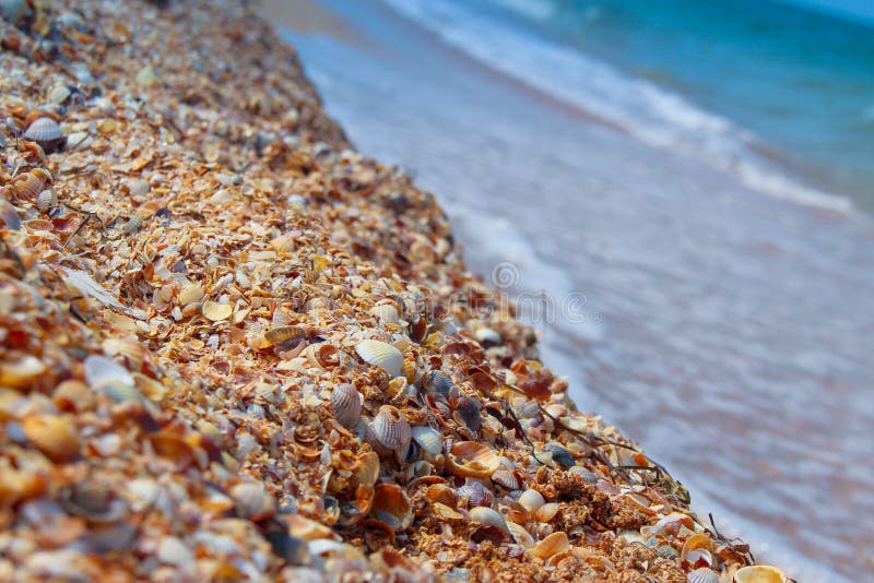 Sunny Day. Sea and Sandy Beach Stock Image - Image of coastline ...
