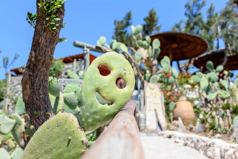 On a Sunny Day Smiling Smiley of Cactus Stock Photo - Image of ...