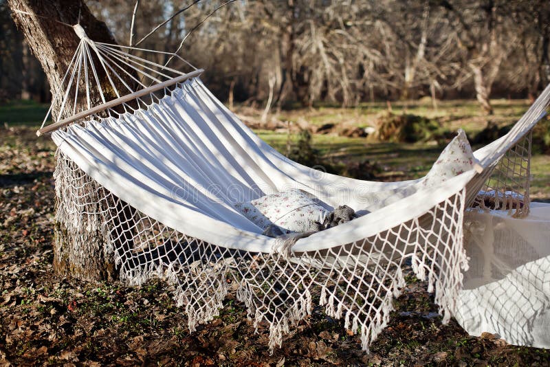Backyard Hammock stock photo. Image of lush, braid, hammock - 1925834