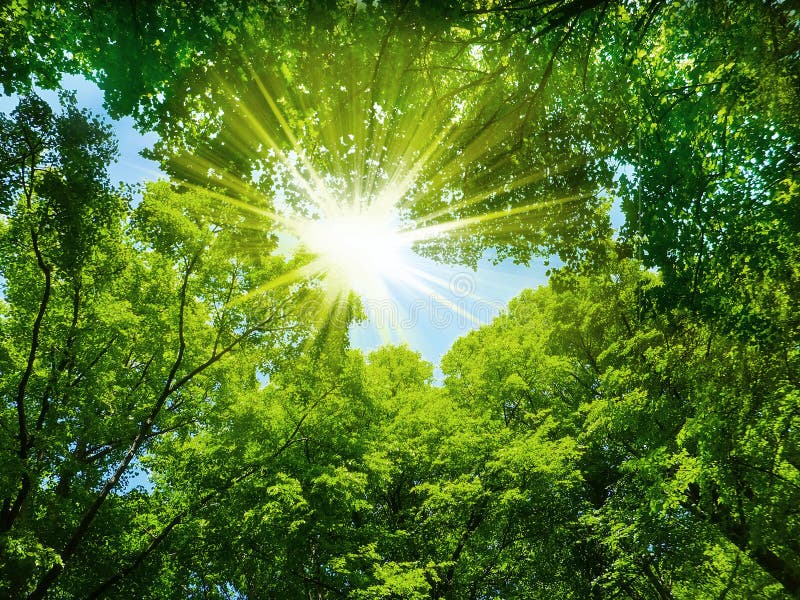 Sunny day stock image. Image of park, walk, leisure - 150076415