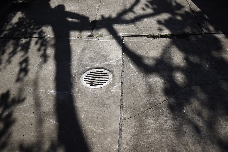 Top View of Concrete with Tree Shadow, Drain and Snail Tracks in a ...
