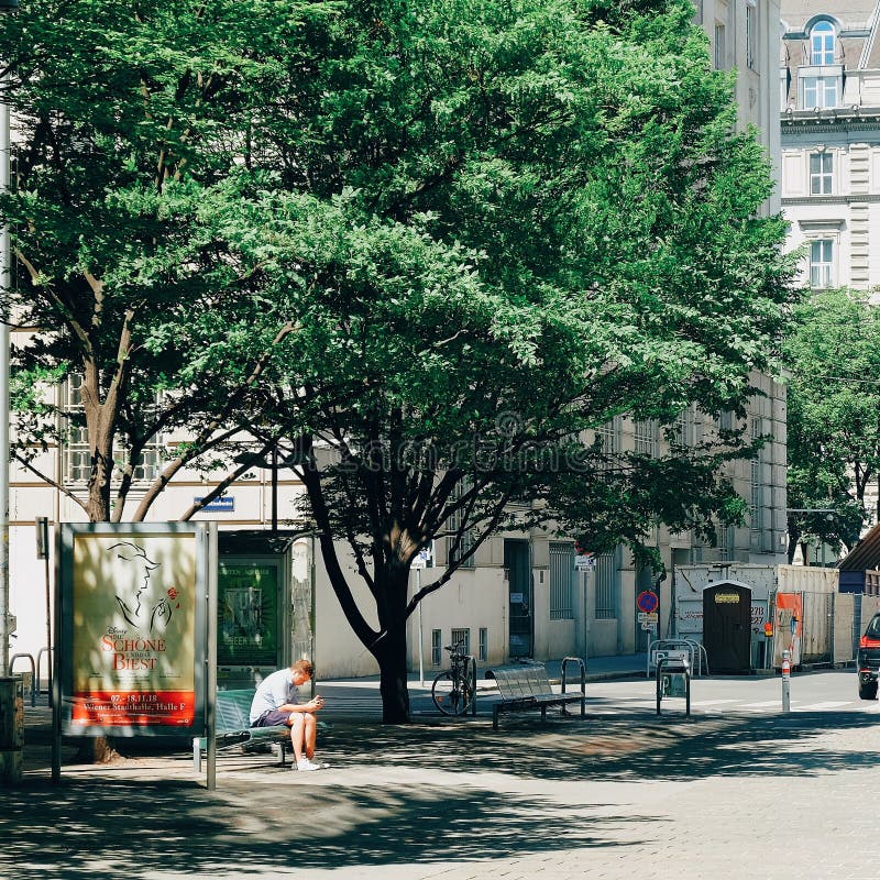 A sunny day in Vienna stock photo. Image of stunning - 63533054