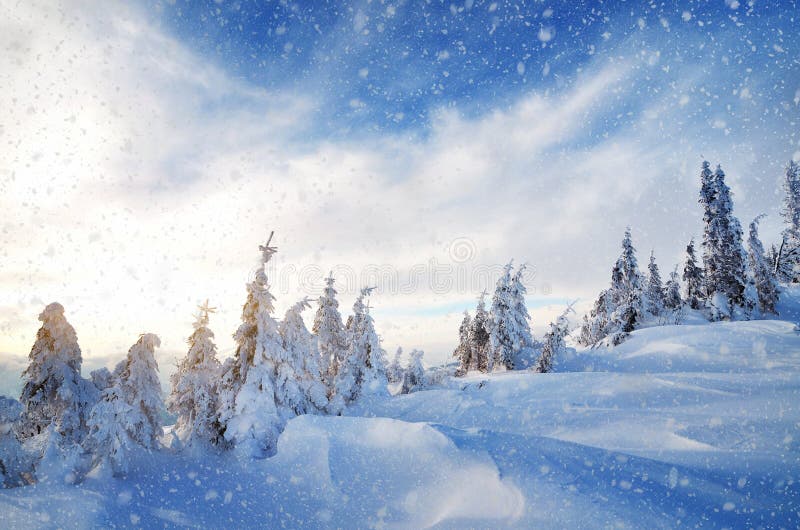 Sunny day in winter stock image. Image of park, landscape - 34195001