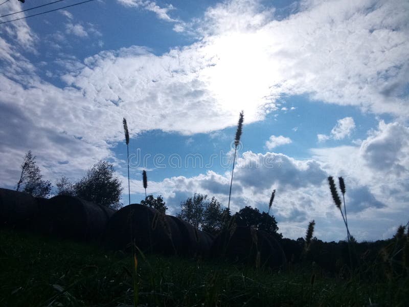 Sunny days on Monday stock image. Image of sunny, skies - 197633537