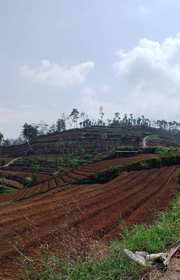 Sunny Daytime Field View in Village Stock Image - Image of sunny, view ...