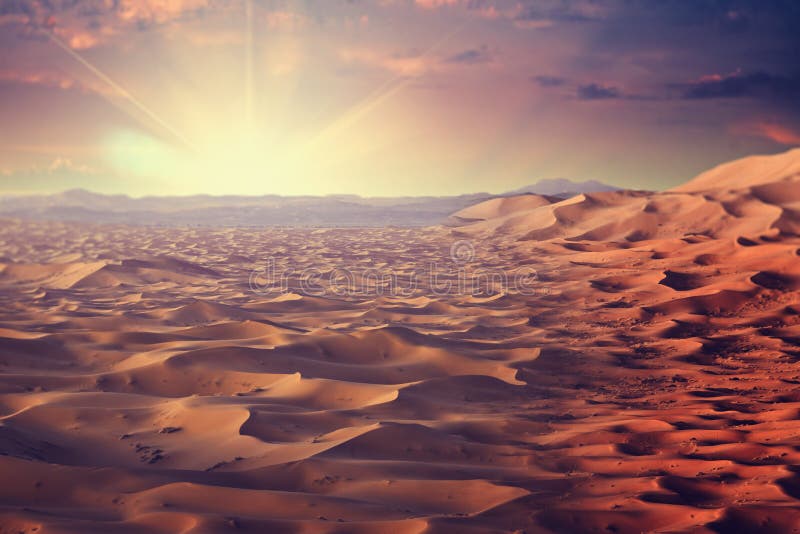 Sunny desert stock photo. Image of dead, light, natural - 73932342